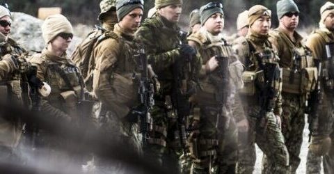 TACTICS GROUP - Direct Action Group