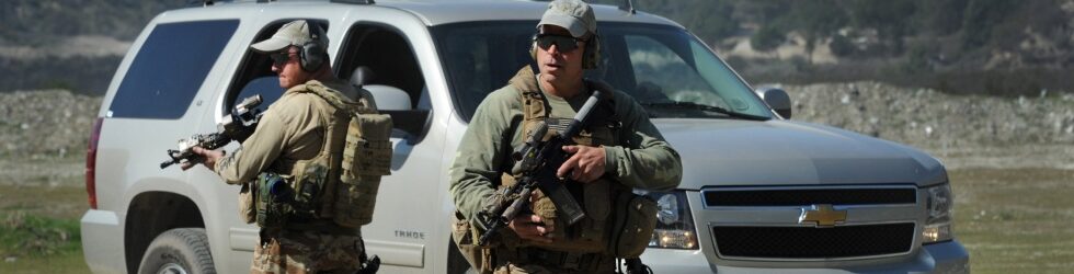 VIP / DIGNITARY PROTECTION - Direct Action Group